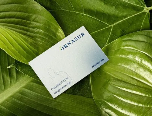 Ornasur【 Caso de Éxito Branding 】| Coco Solution