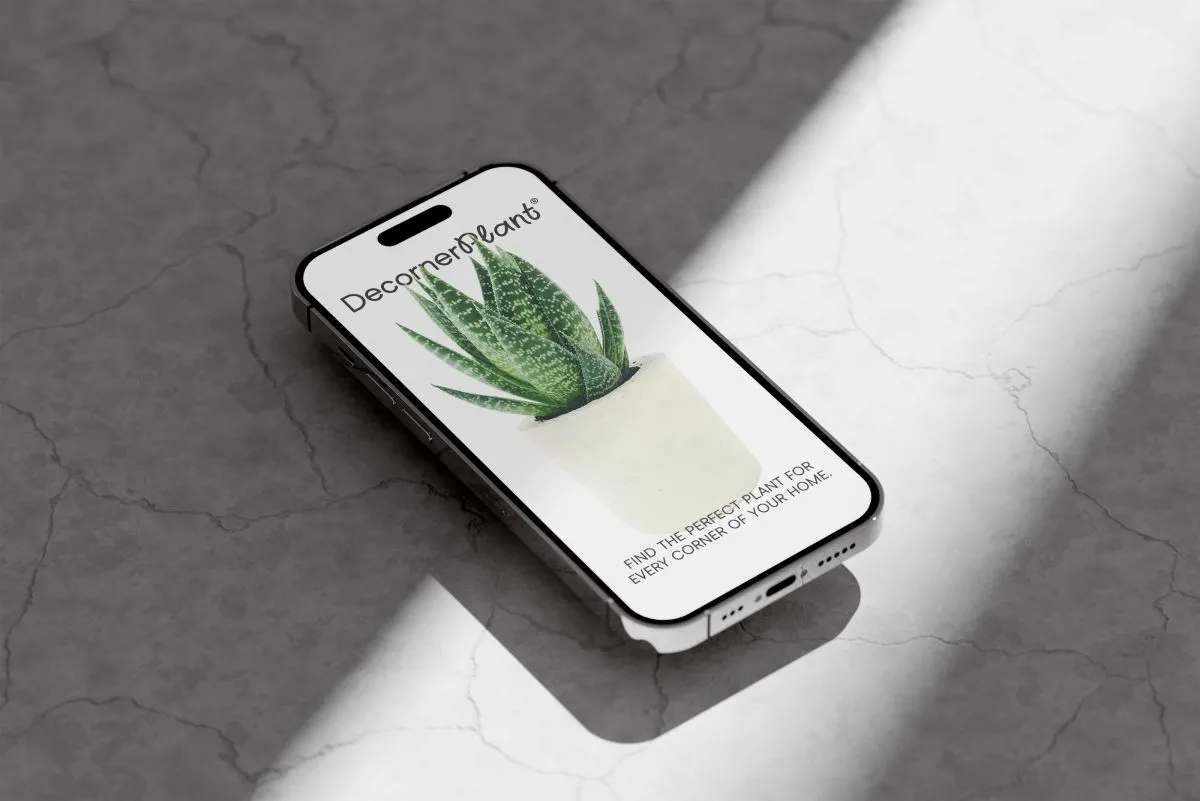 DecornerPlant【 Caso de Éxito Branding 】| Coco Solution