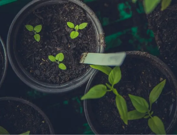 Coco Solution【 Caso de Éxito Diseño】| Coco Solution