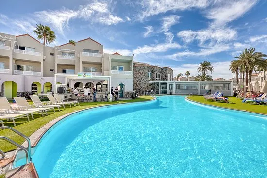 Coco Solution【 Caso de Éxito Diseño】| Coco Solution